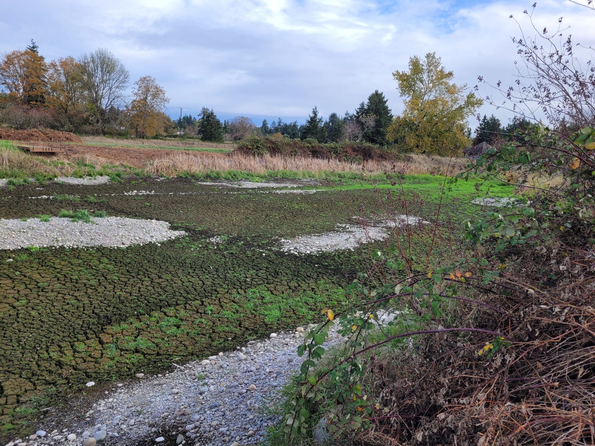 Watershed Report – Environmental Coalition